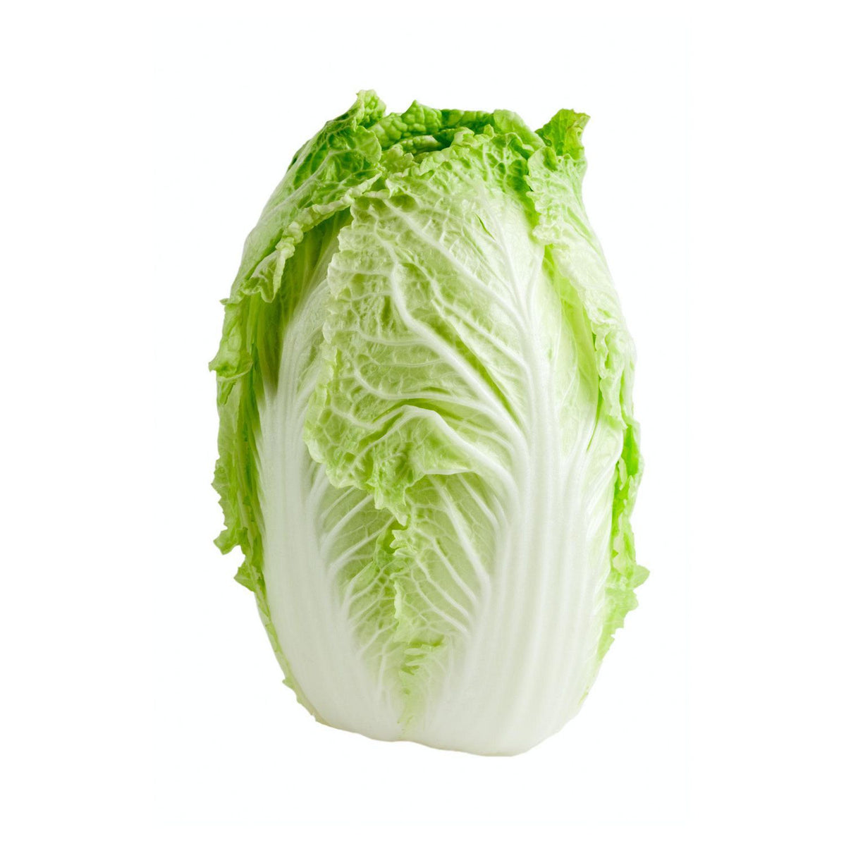 Chou Chinois Nappa – Chinese Napa Cabbage – Le Pro 1600