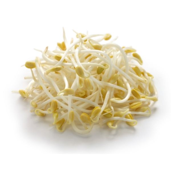 Fève Germés (1lb) / Chop suey (1lb) – Le Pro 1600